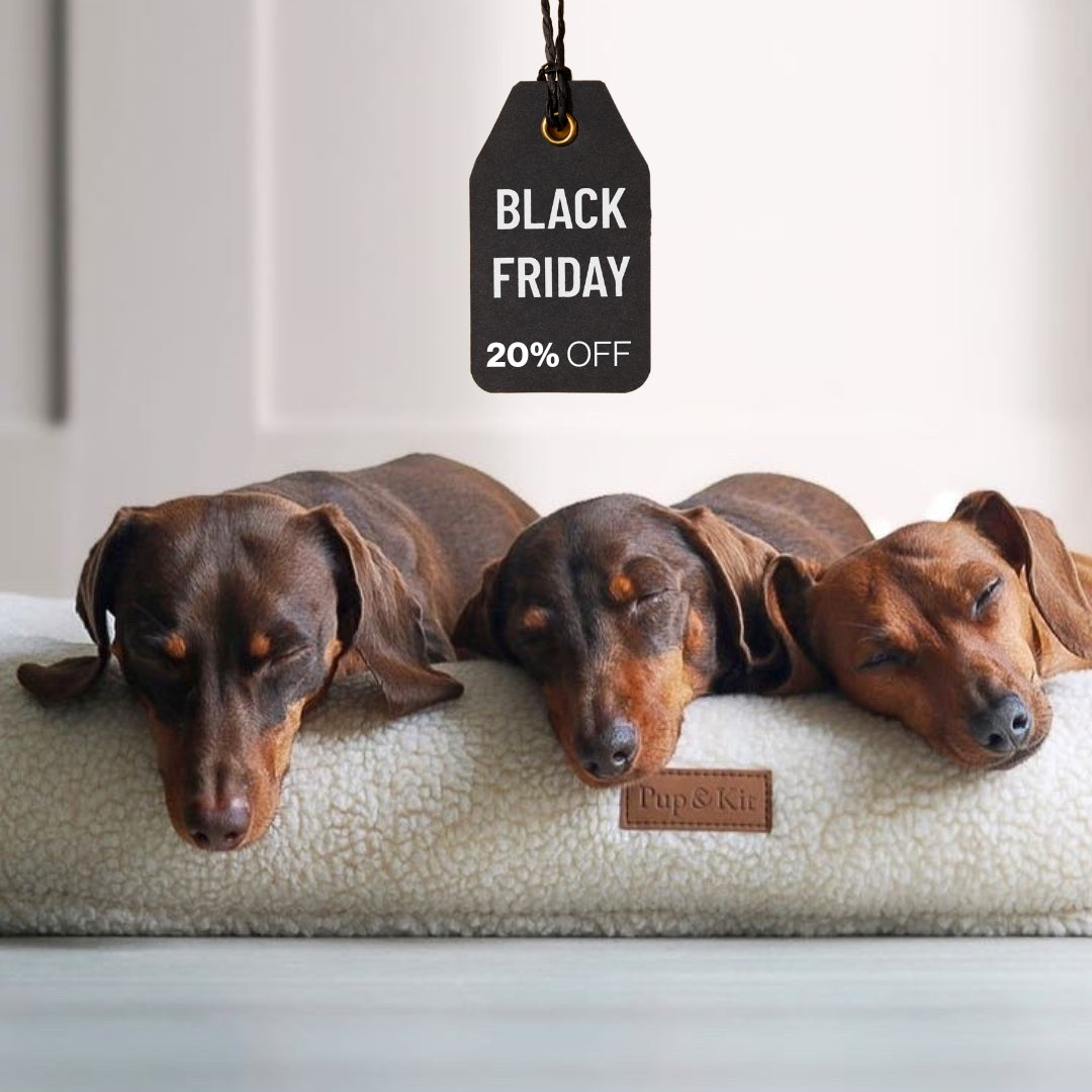 Best Luxury Dog Beds, Dog Blankets & Raised Beds | Pup & Kit