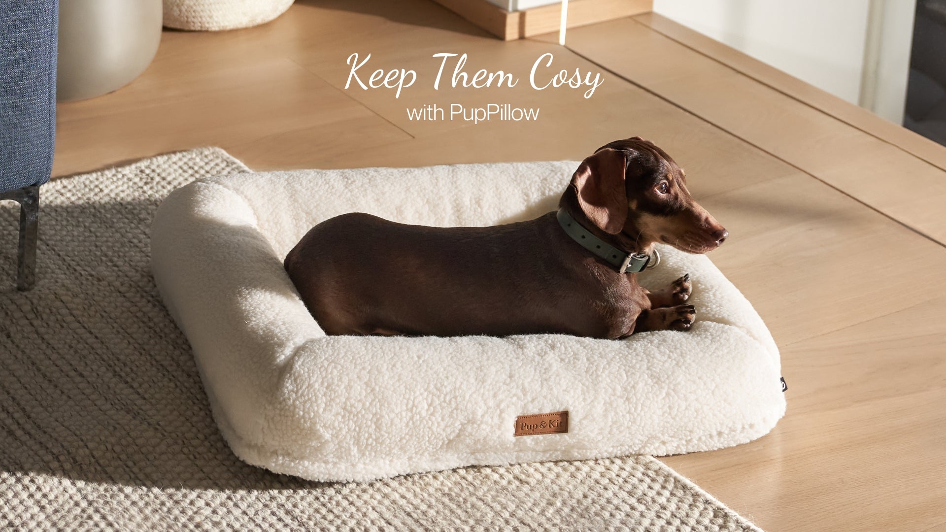 Best Luxury Dog Beds, Dog Blankets & Raised Beds | Pup & Kit