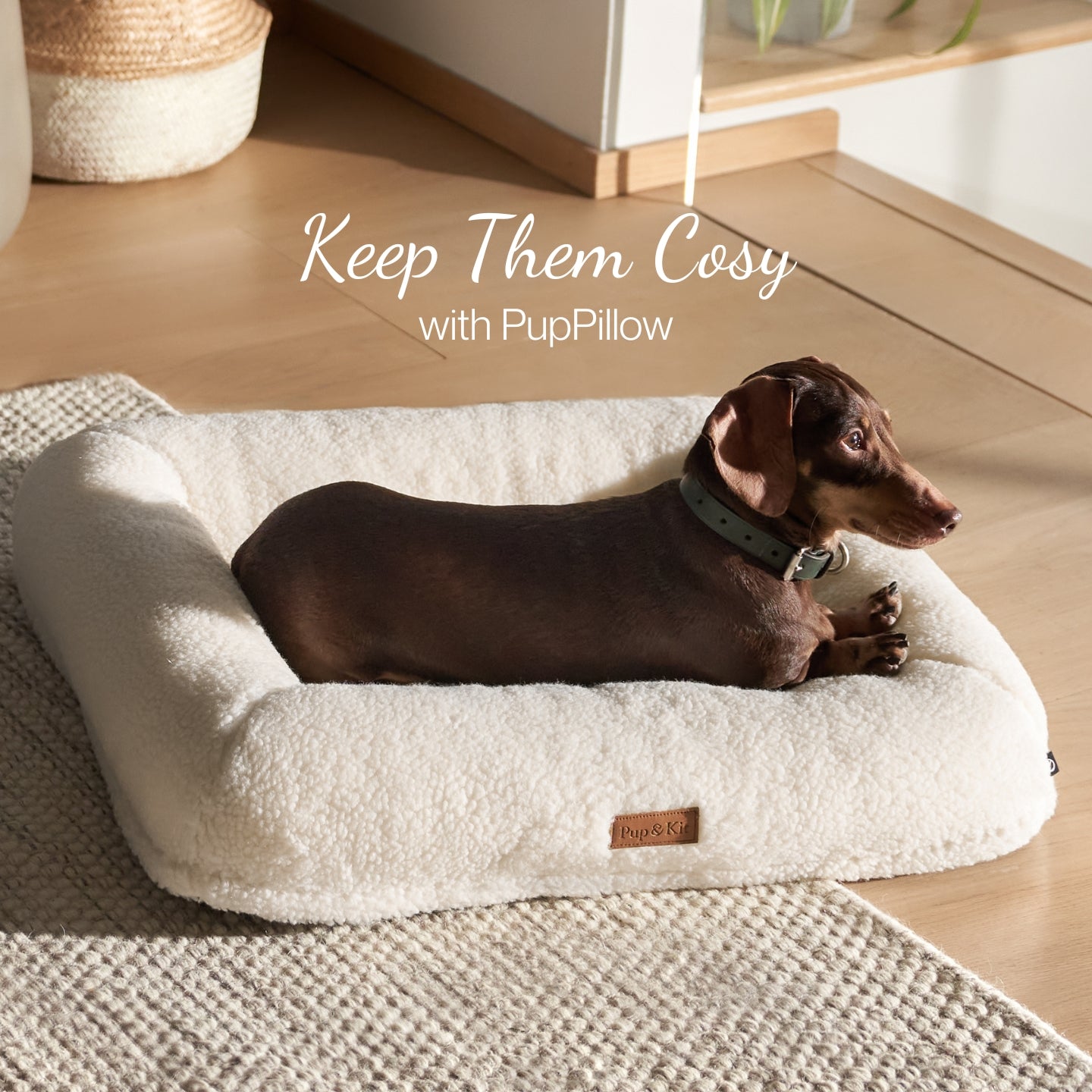 Best Luxury Dog Beds, Dog Blankets & Raised Beds | Pup & Kit